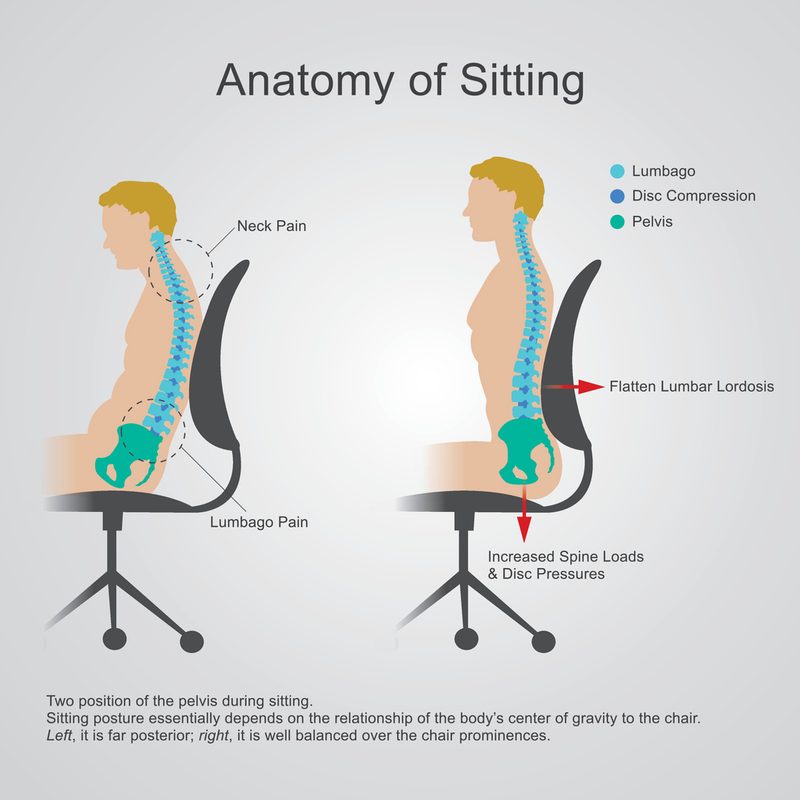 What Is The Correct Ergonomic Sitting Posture In The Office What Is The Correct Ergonomic Sitting Posture In The Office